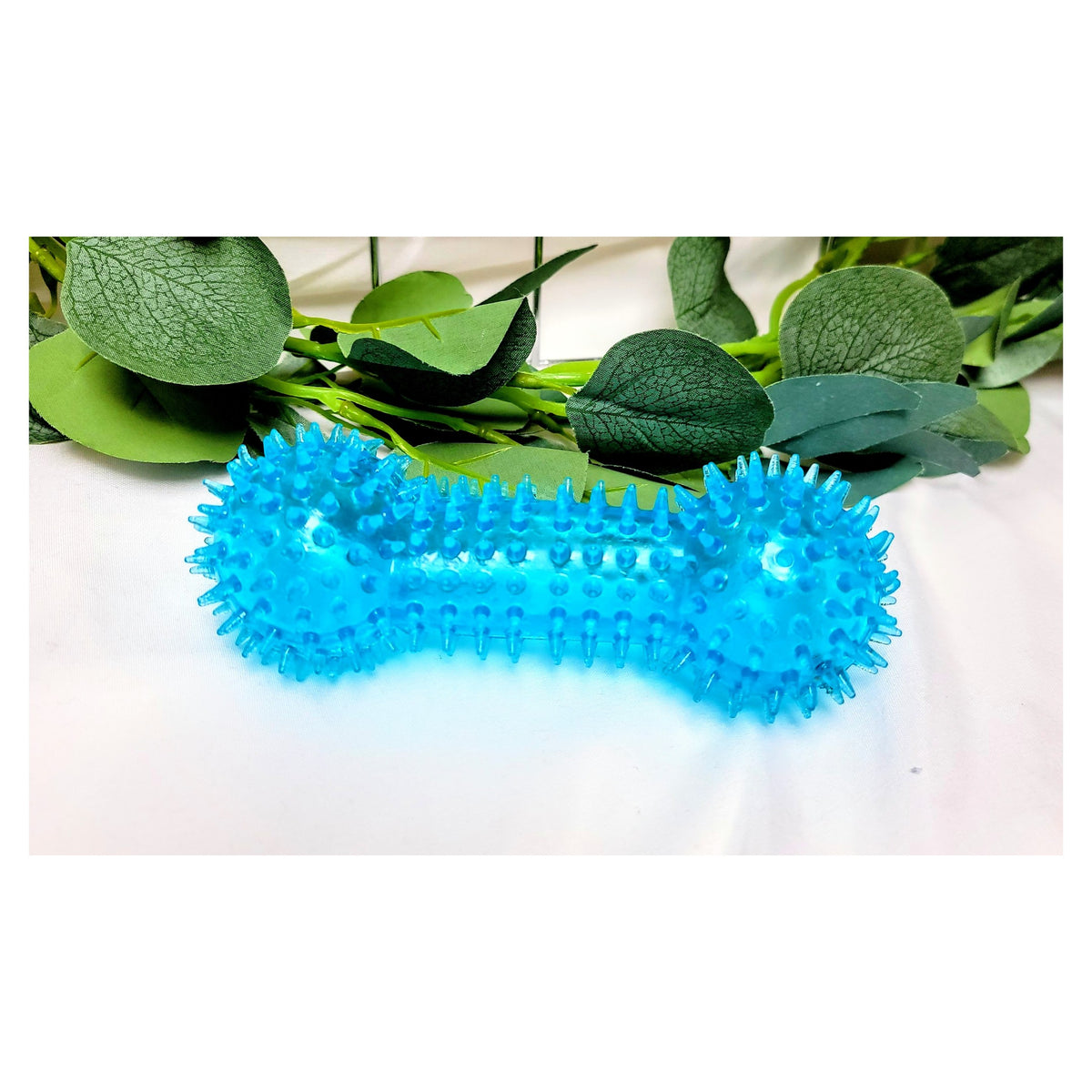 Spikey Bouncy Bone / Dog Puppy Toy Squeaker – ProjectCanine-