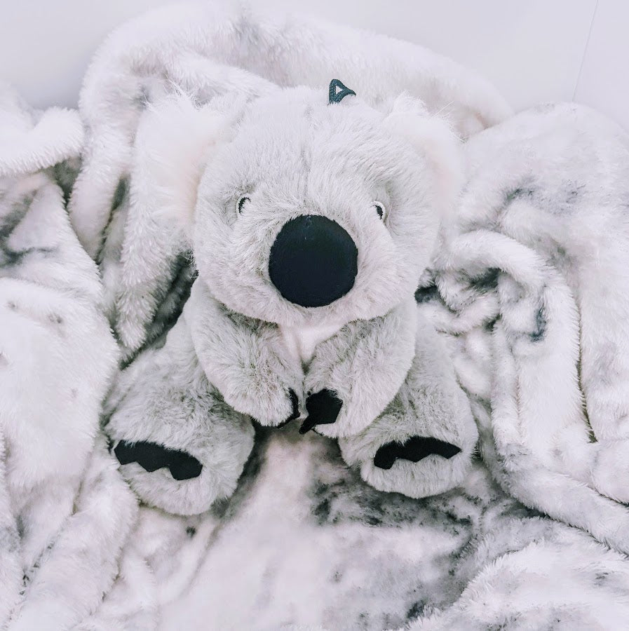 Kenny Koala Grey Puppy Dog Toy Squeaker Plushie Birthday Gift UK ...